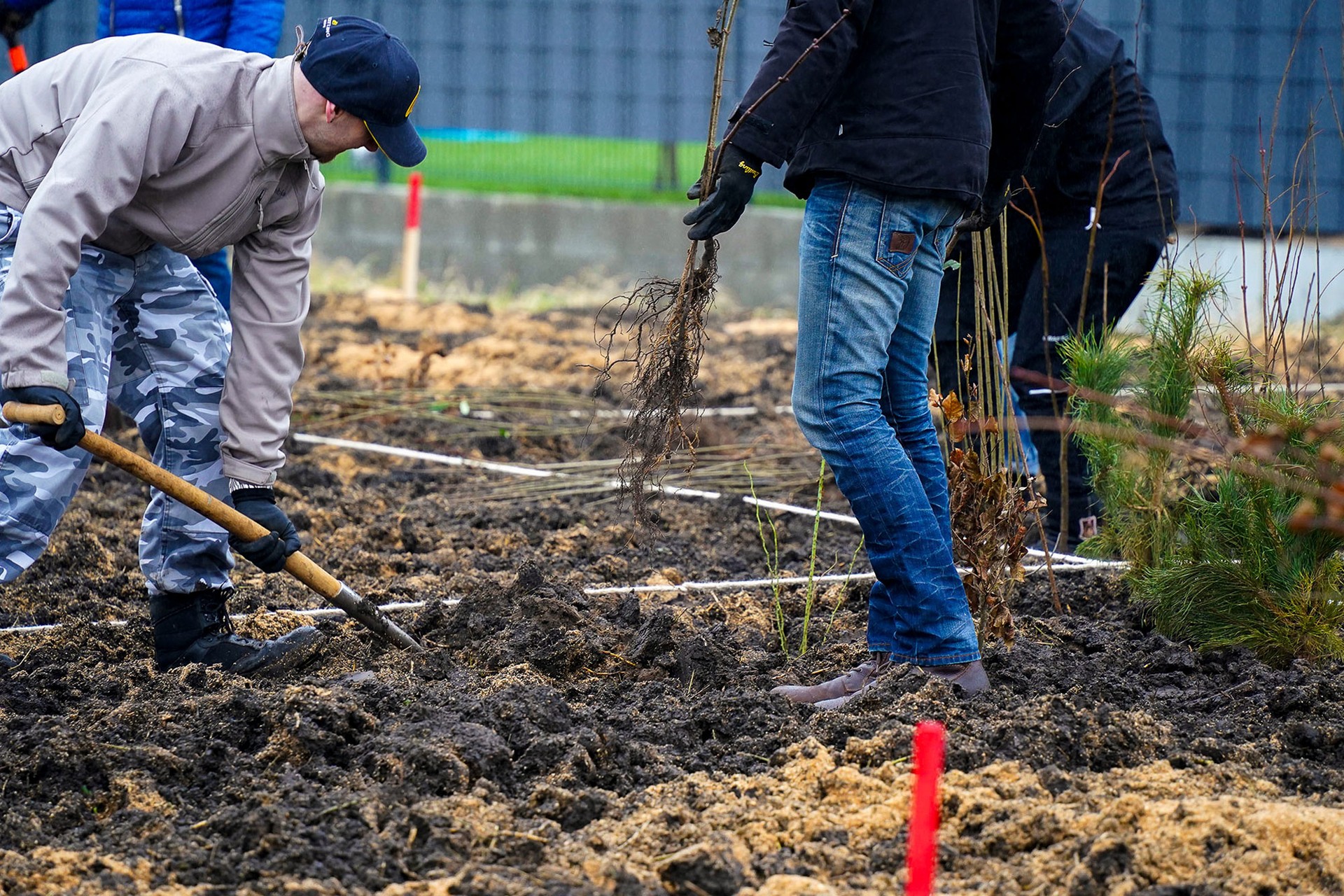 Griesheim Community Forest | SUGi