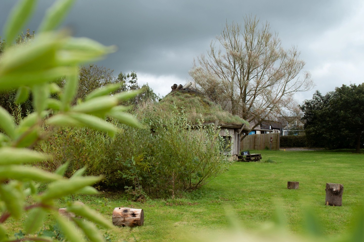 St Kew's Forest | SUGi