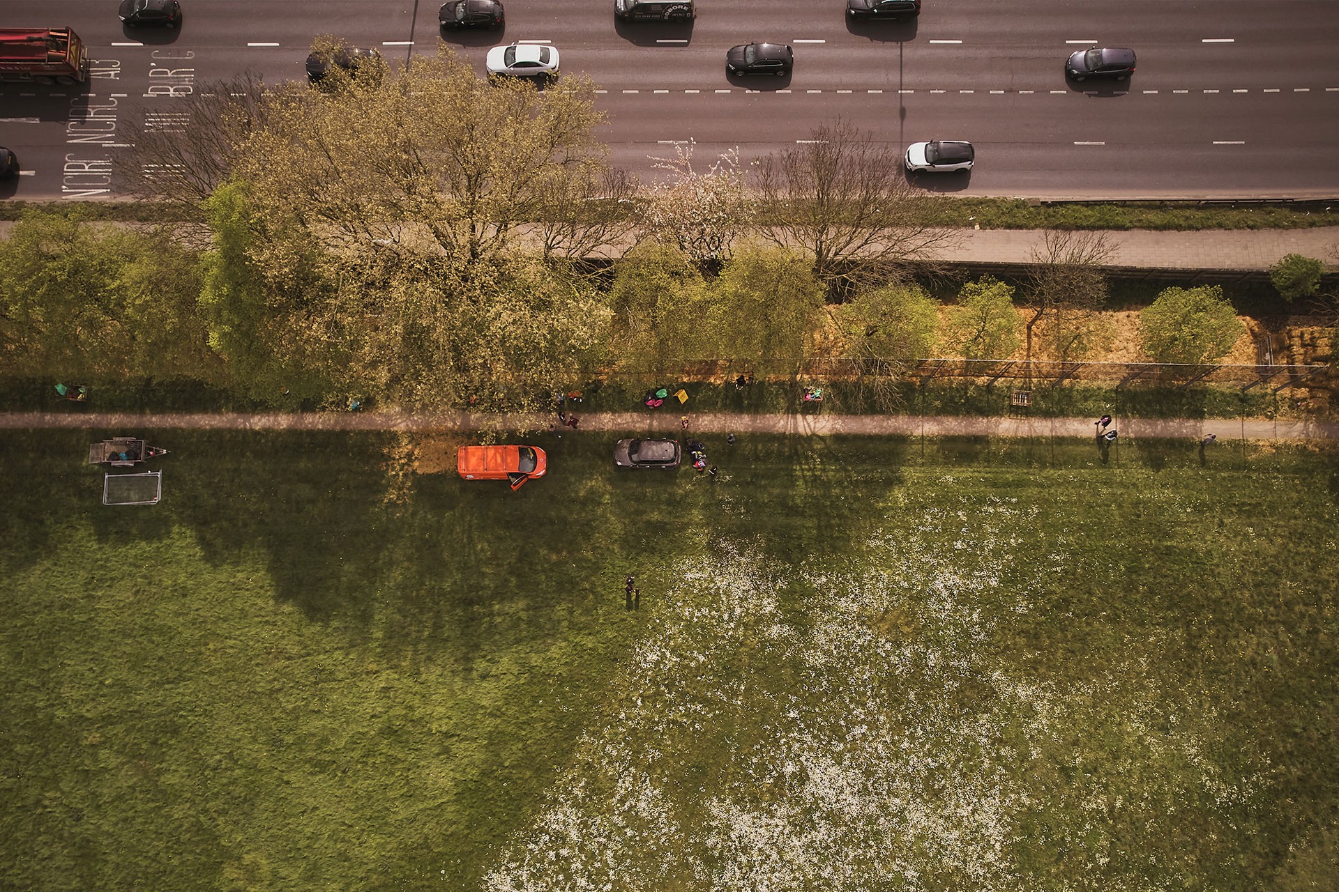 Gooseley Park Forest | SUGi