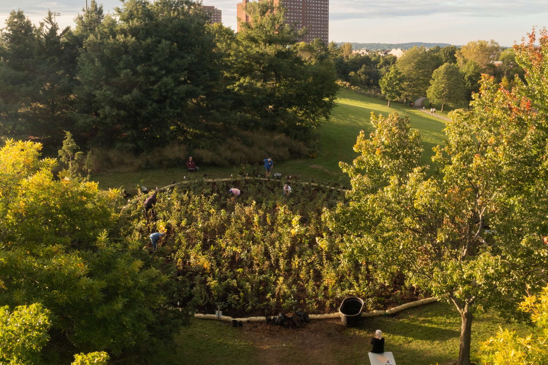 Support Sustainable Biodiverse Forests with SUGi