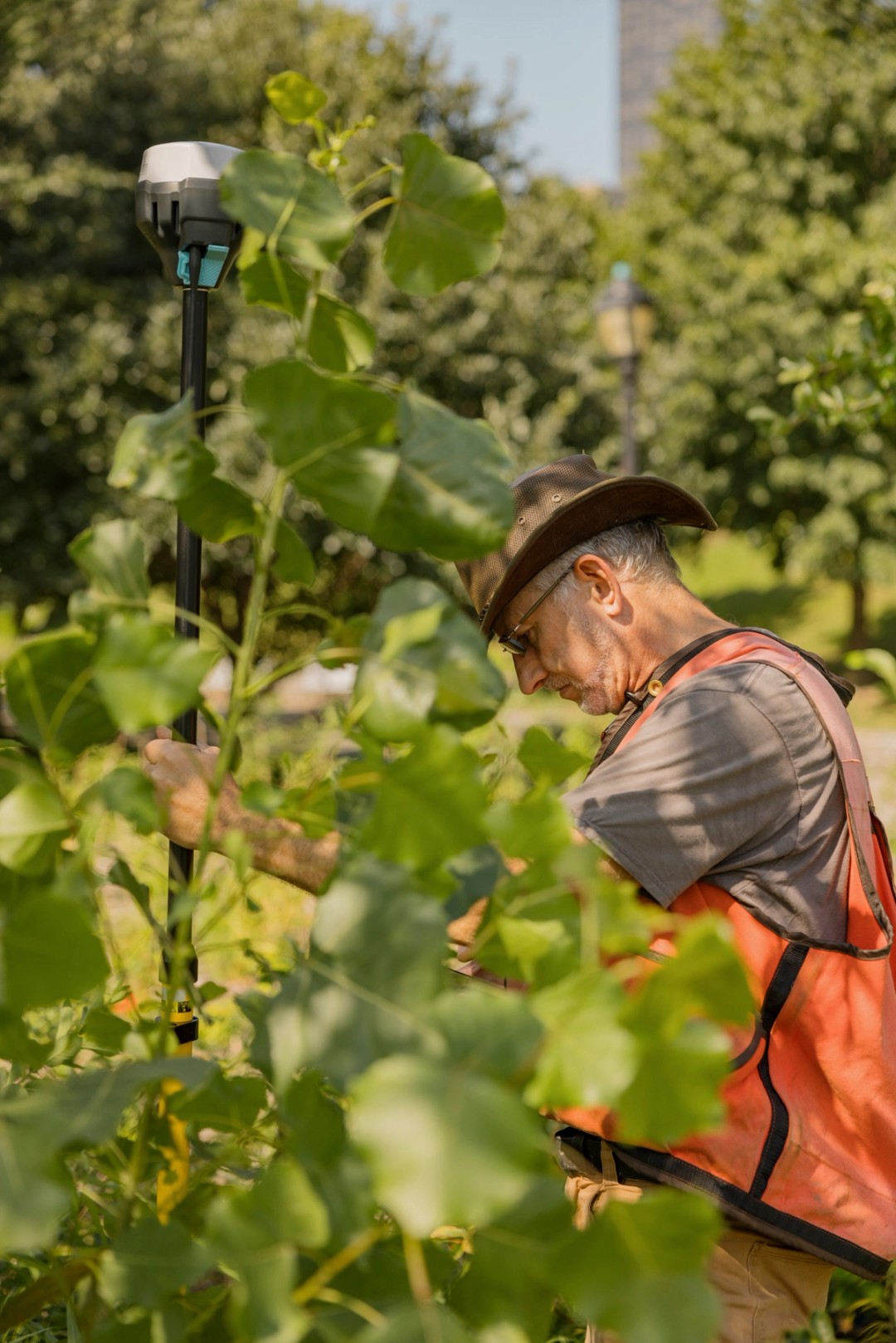 Manhattan Healing Forest | SUGi