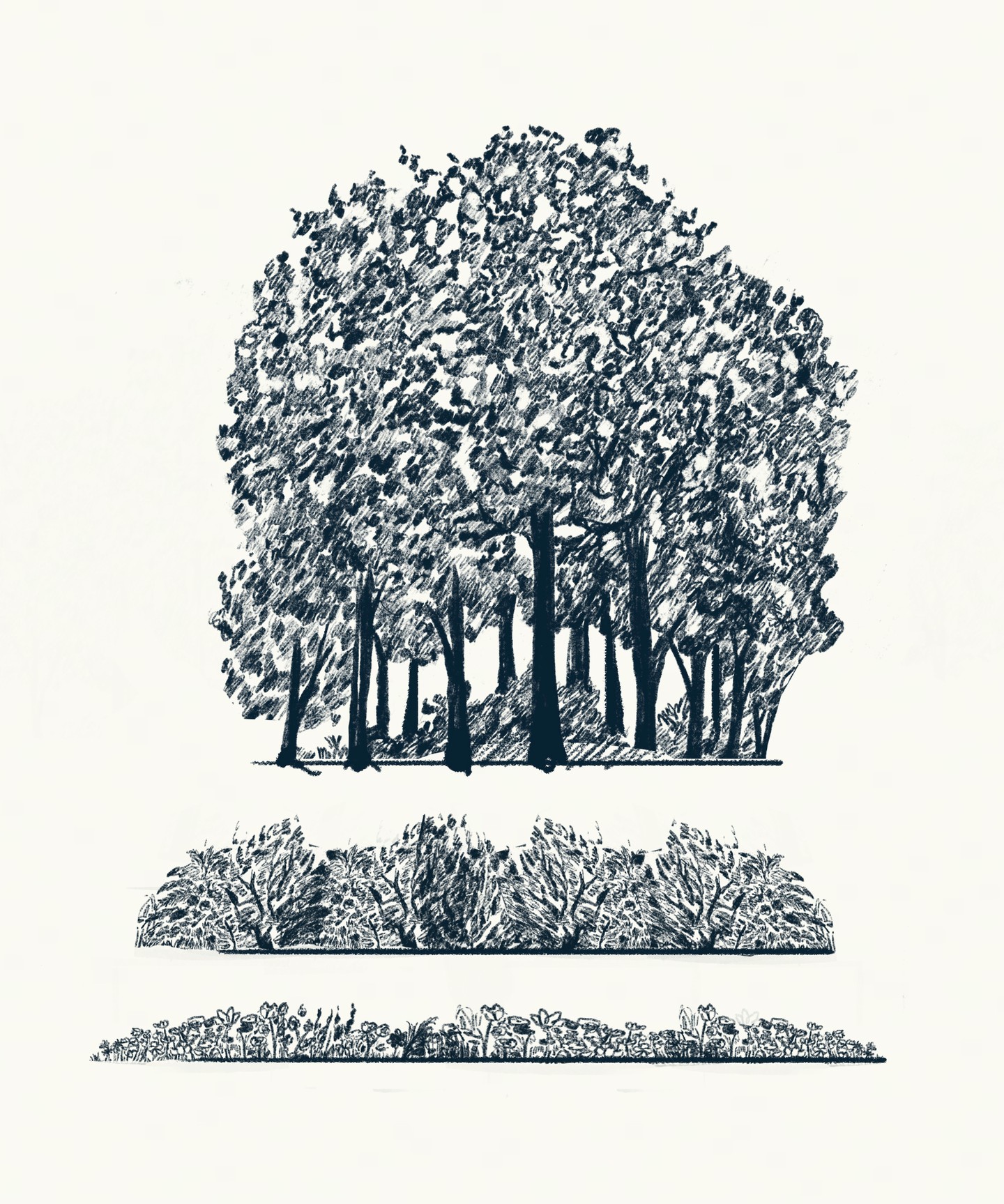 The Art of Rewilding | SUGi