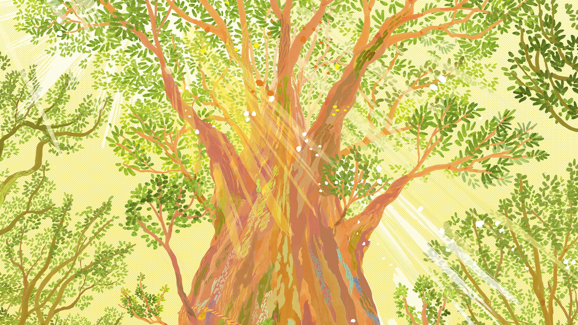 Forests Are Social | SUGi