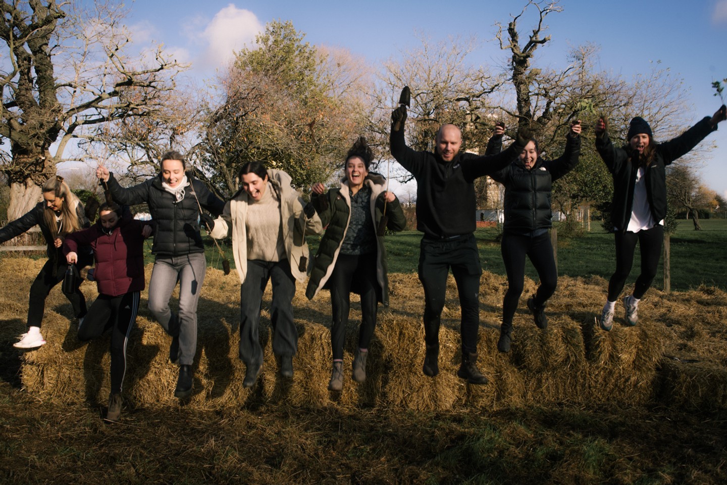 Harmony Forest | SUGi