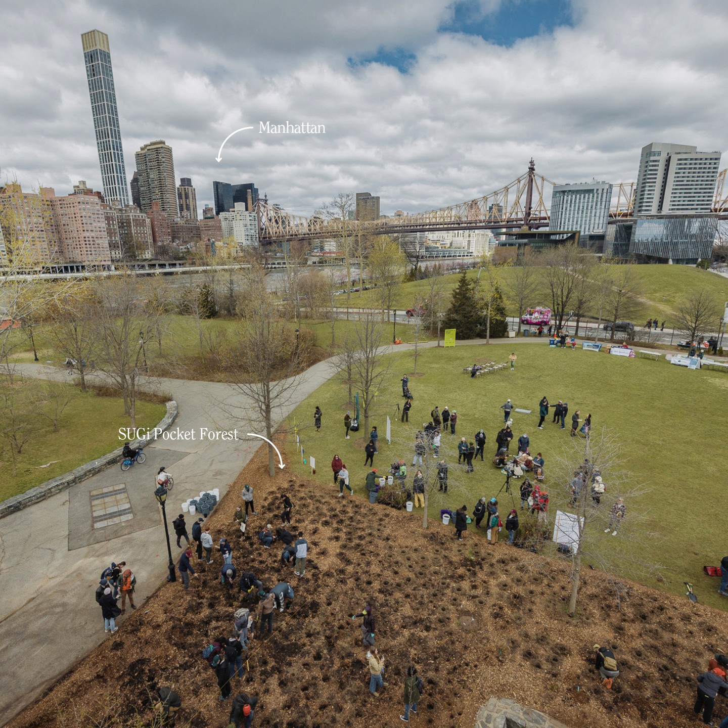 Where can you plant a Pocket Forest? | SUGi