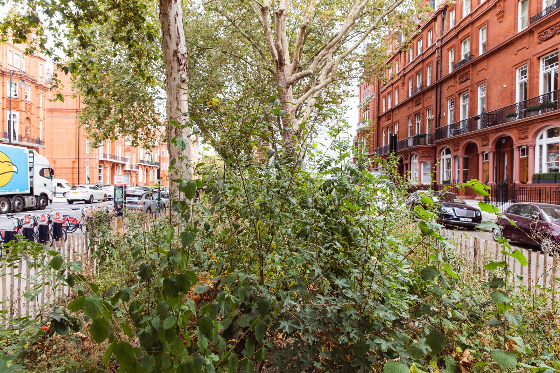 Heritage Forest | SUGi