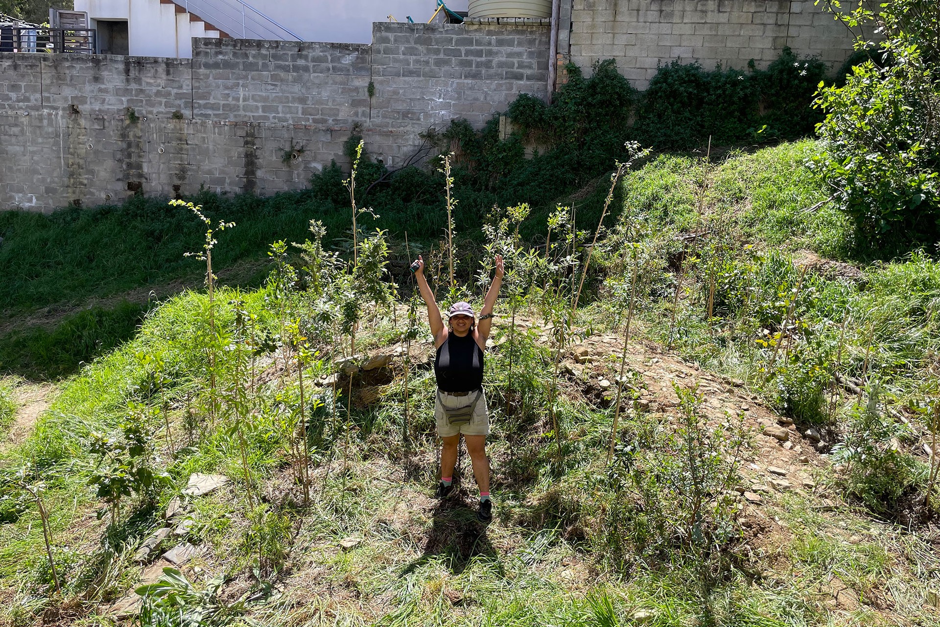 Schotsche Kloof Forest | SUGi