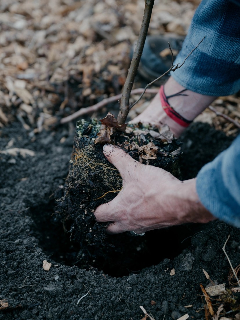 Georgetown Community Forest | SUGi