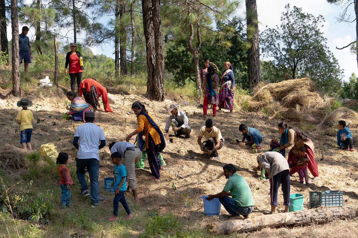 Community Forest | SUGi