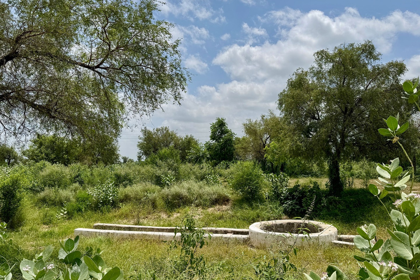 Sukhad Aranya | SUGi