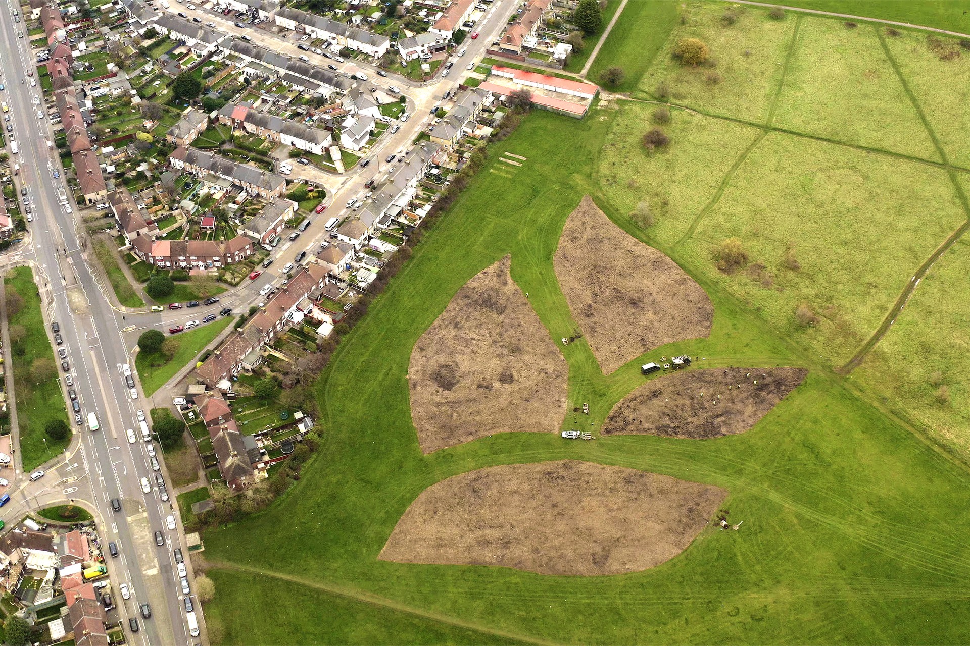 Forest of Thanks | SUGi