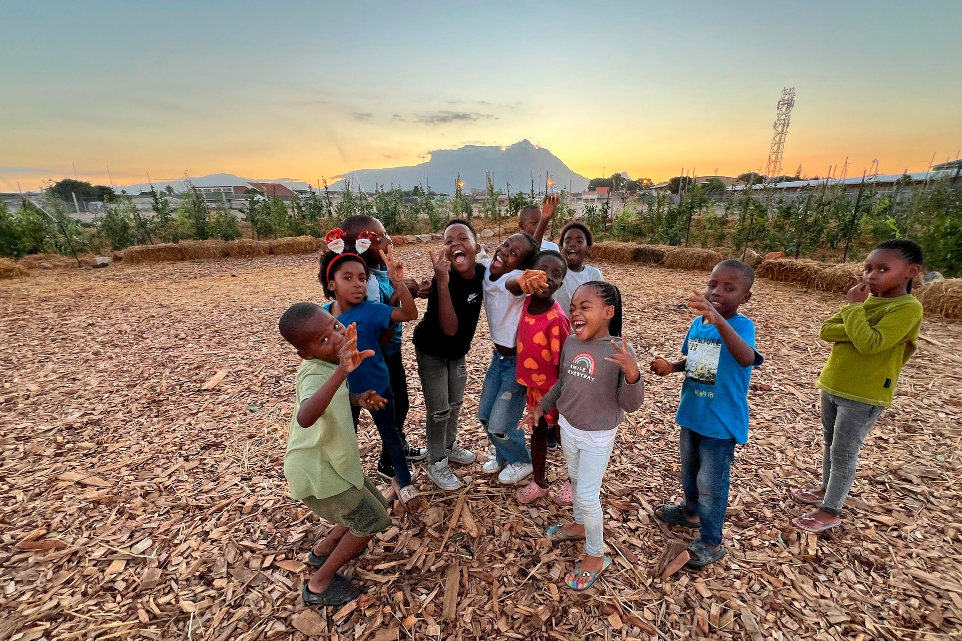 SUGi Pocket Forests – Cape Town | SUGi