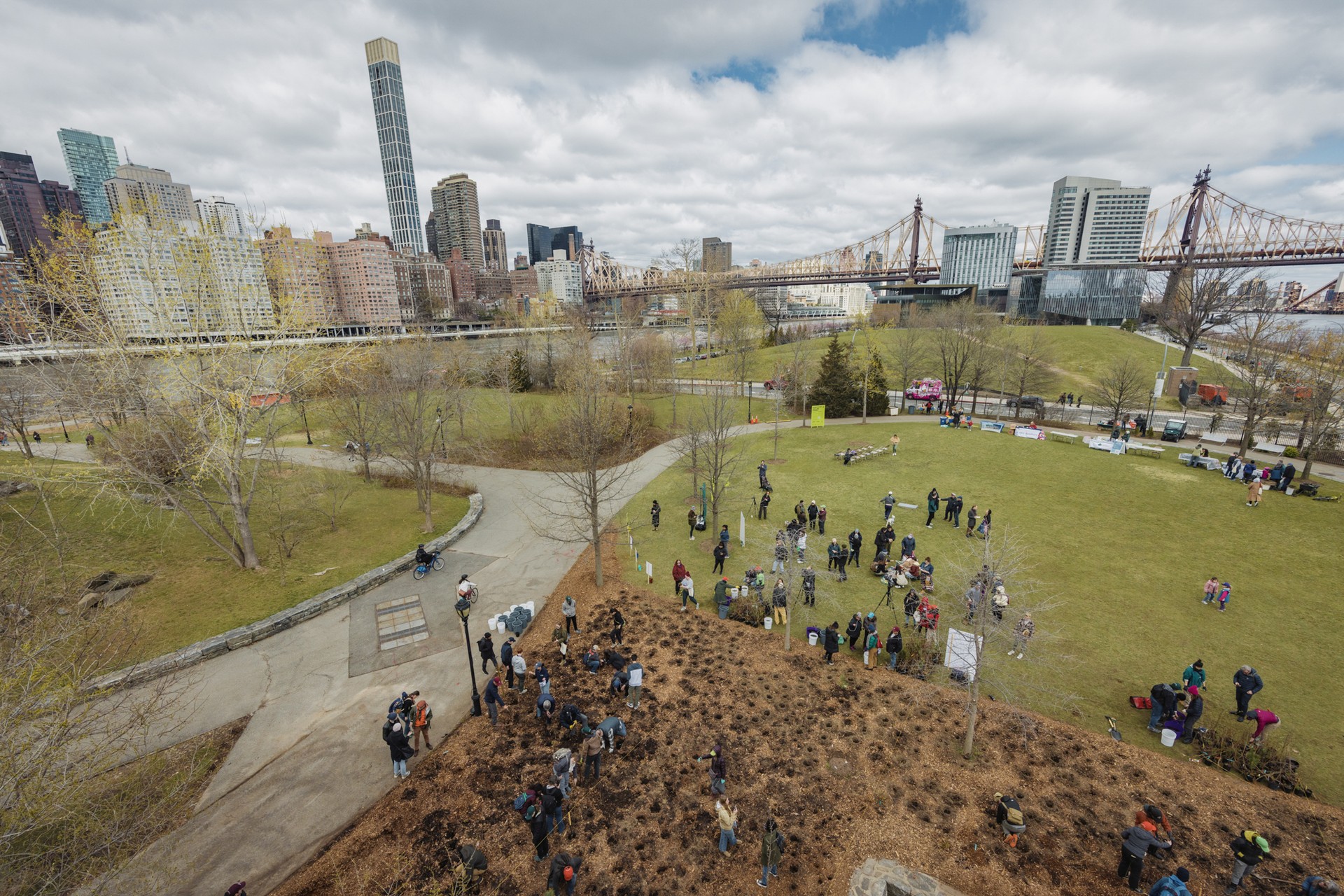 Manhattan Healing Forest | SUGi