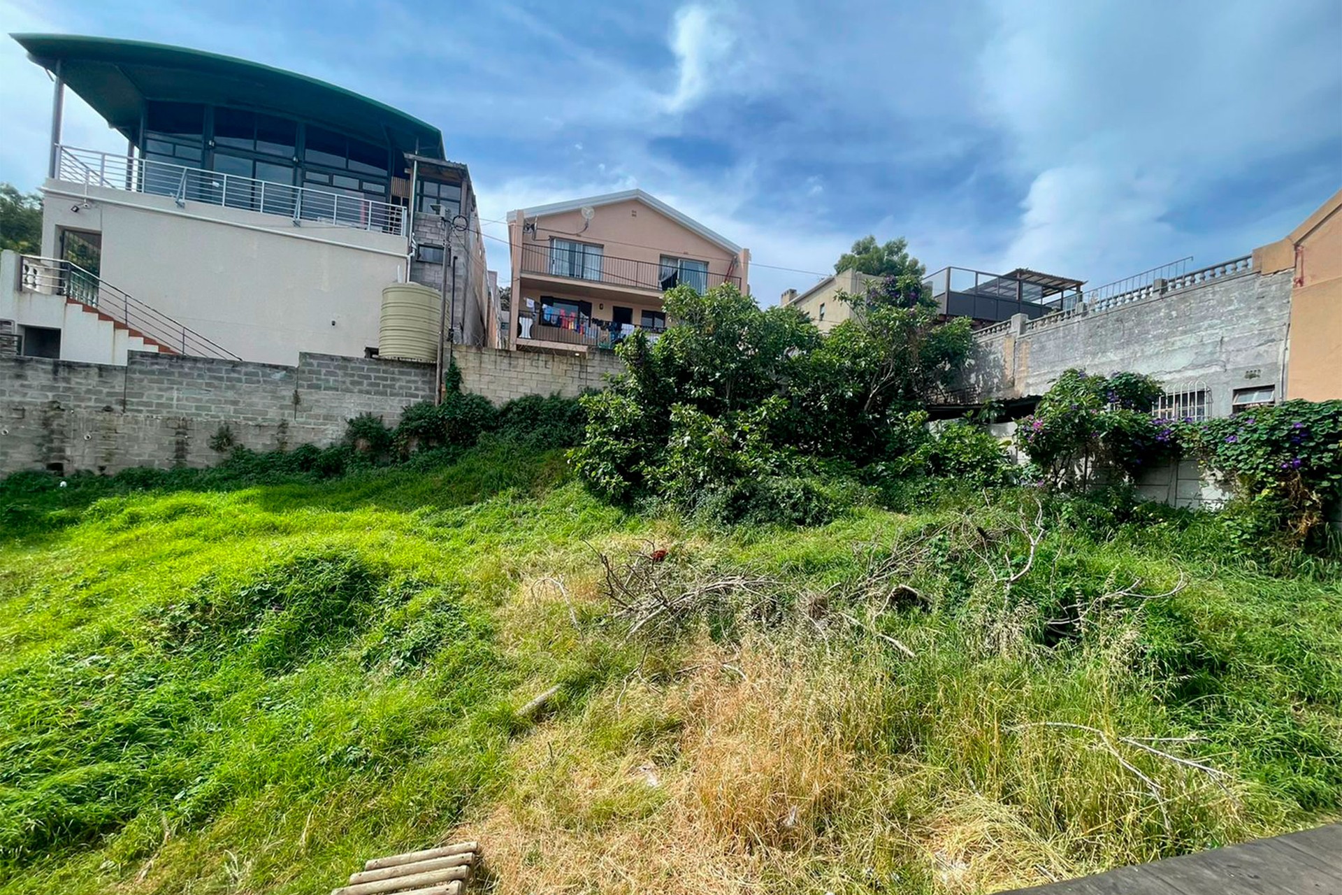 Schotsche Kloof Forest | SUGi