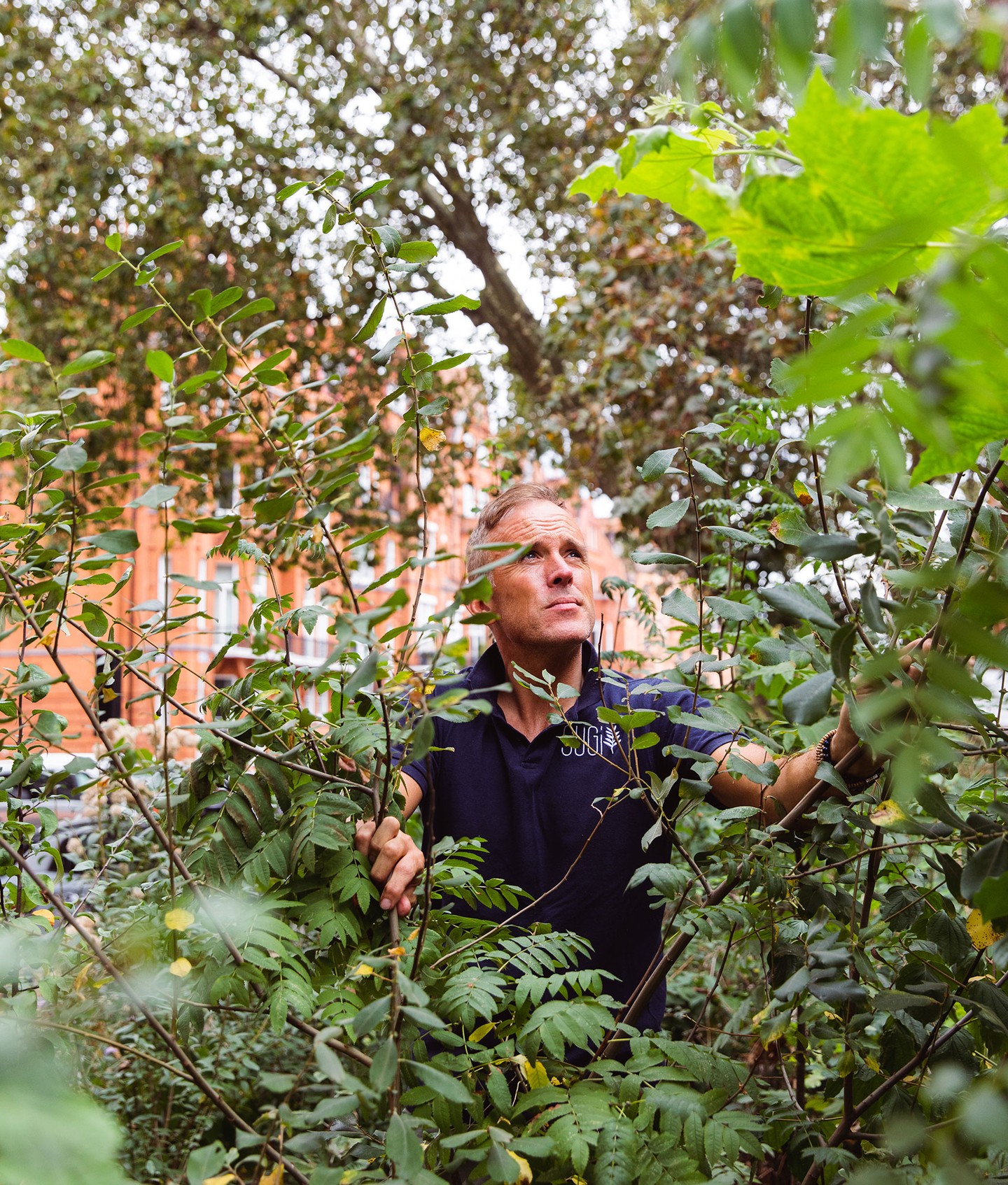 Heritage Forest | SUGi