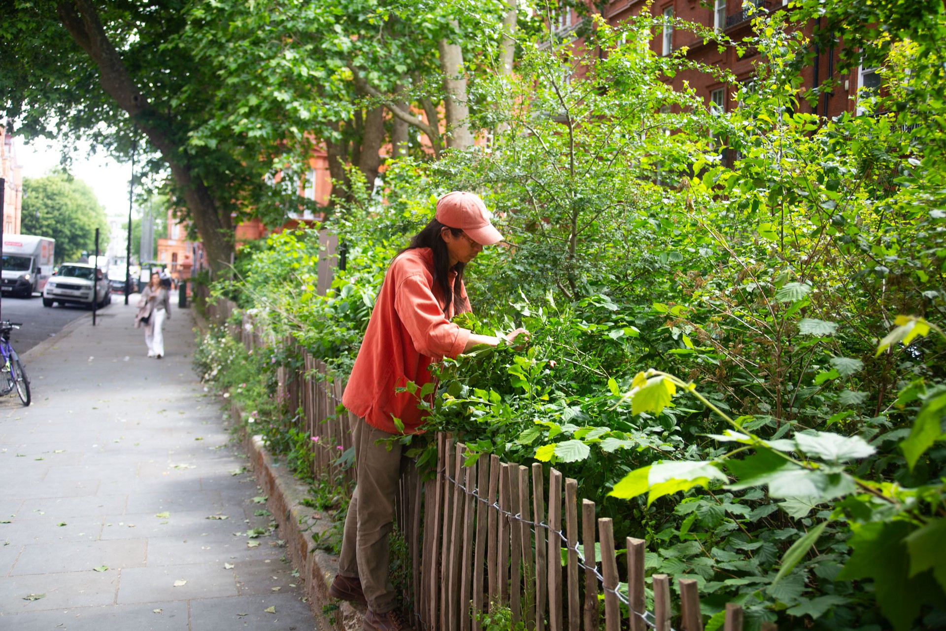 Heritage Forest | SUGi