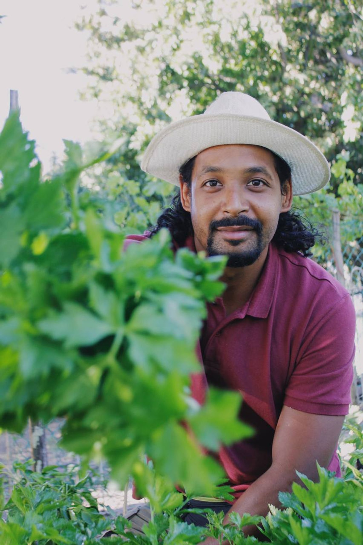 James Godfrey-Faussett | SUGi