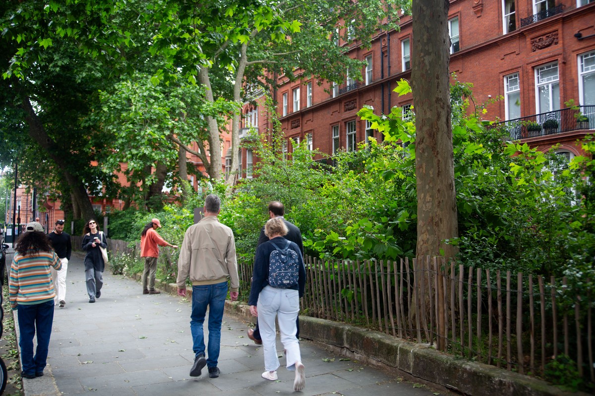 Biodiverse Pocket Forests by SUGi | Urban Nature Restoration