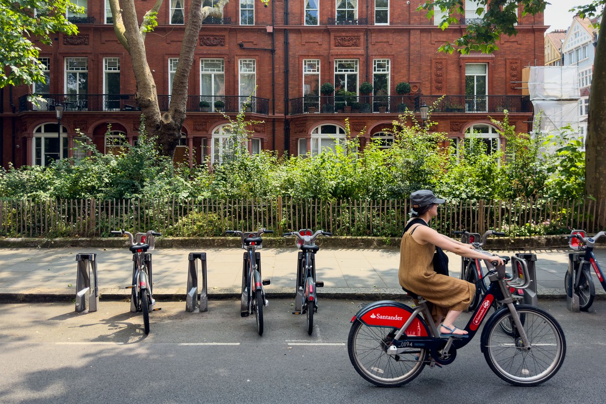 Heritage Forest | SUGi