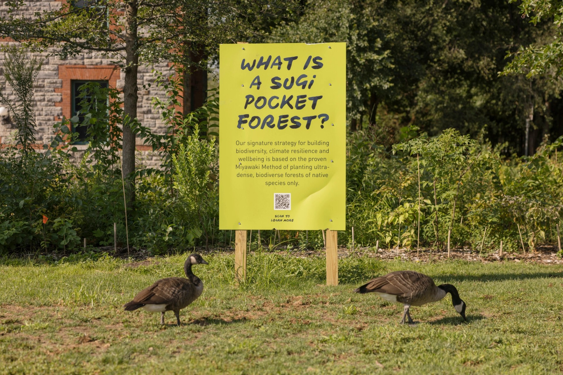 Manhattan Healing Forest | SUGi