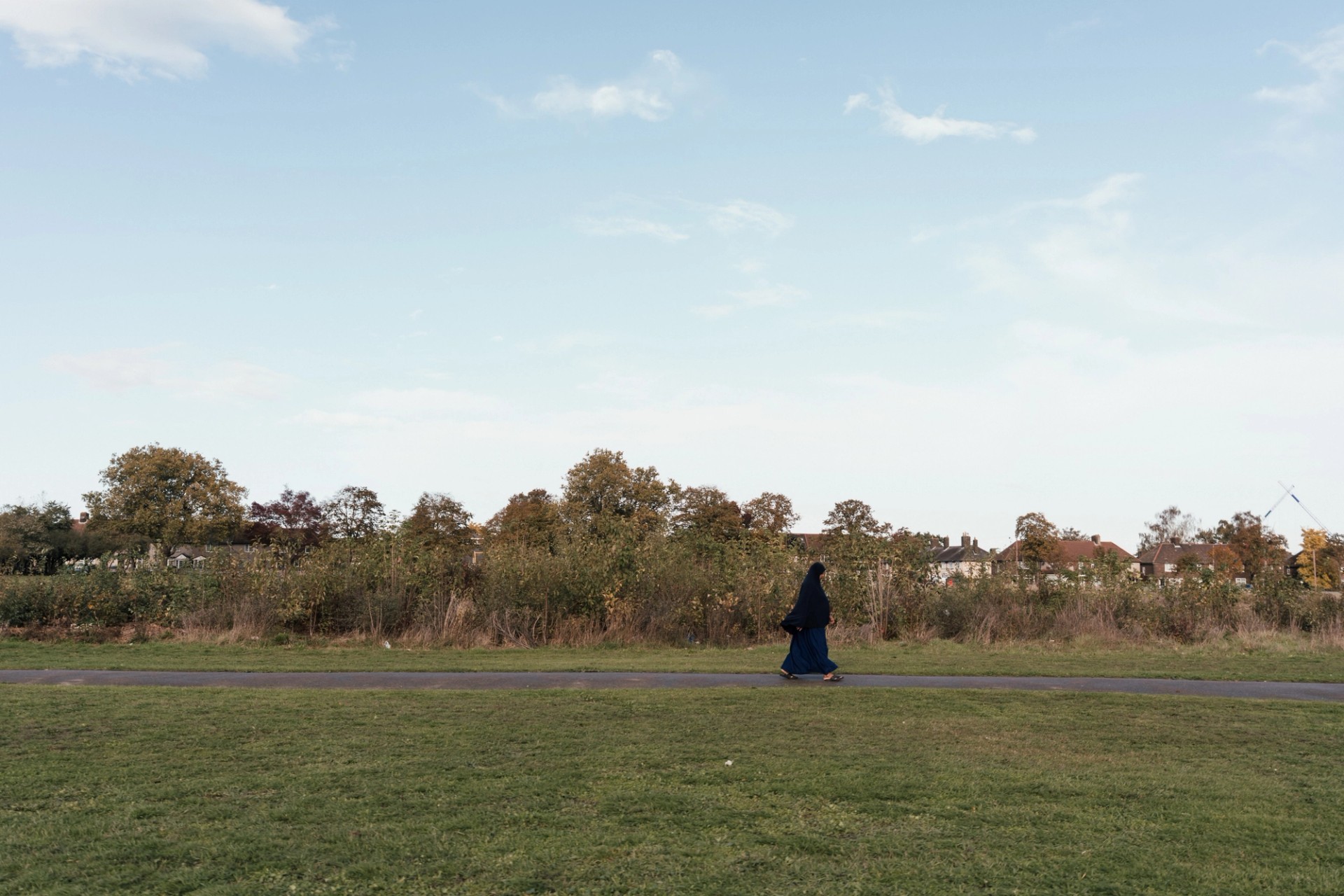 Castle Green Forest | SUGi