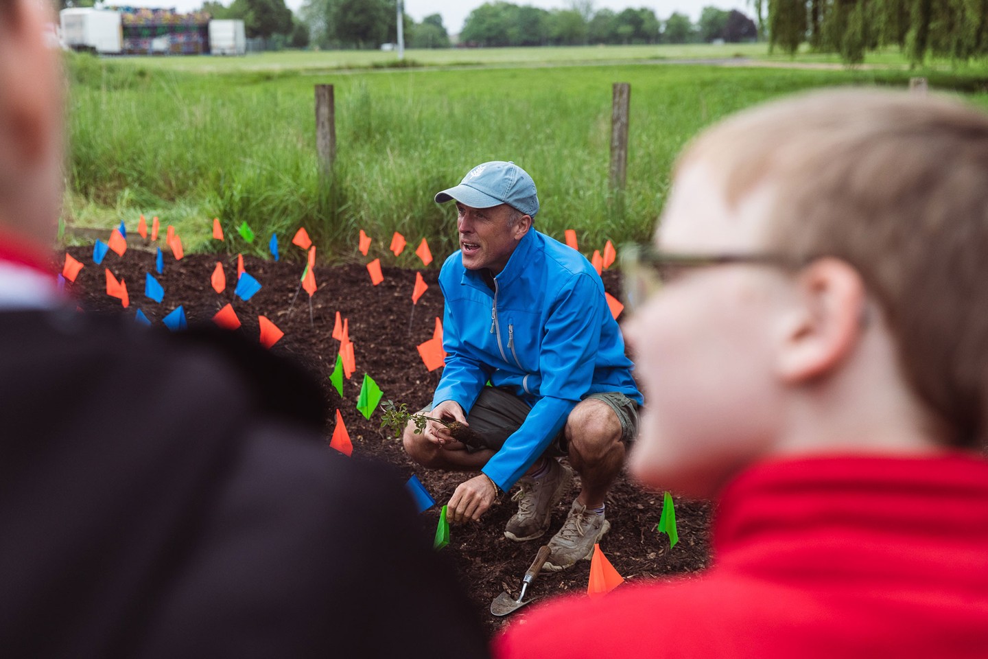 Harmony Forest | SUGi