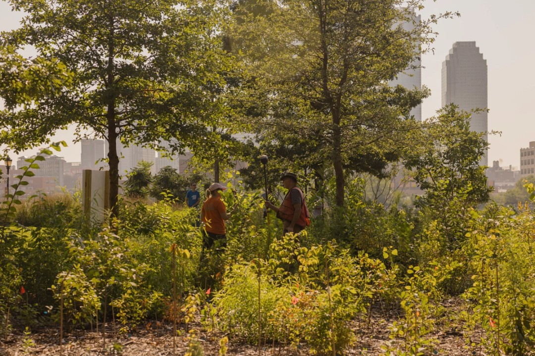 Manhattan Healing Forest | SUGi