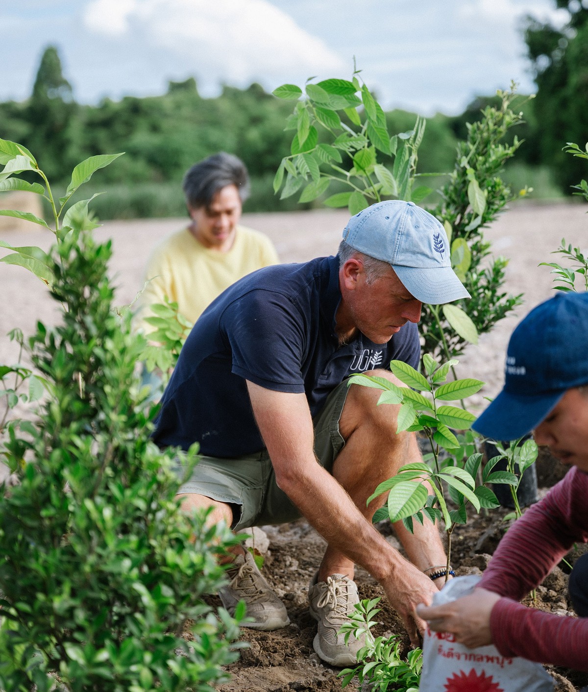 The Miyawaki Method for Creating Forests | SUGi