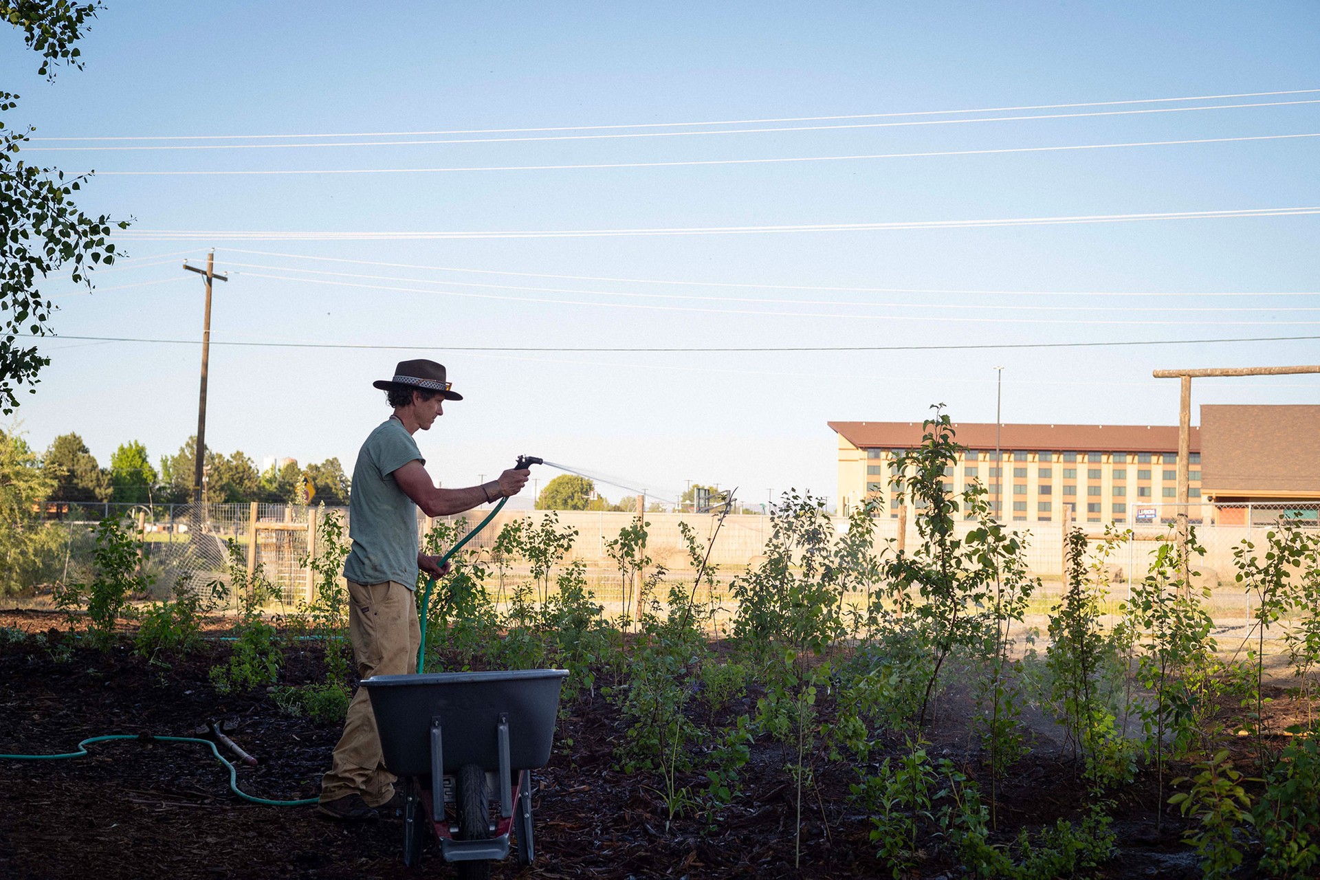 Healing Forest | SUGi
