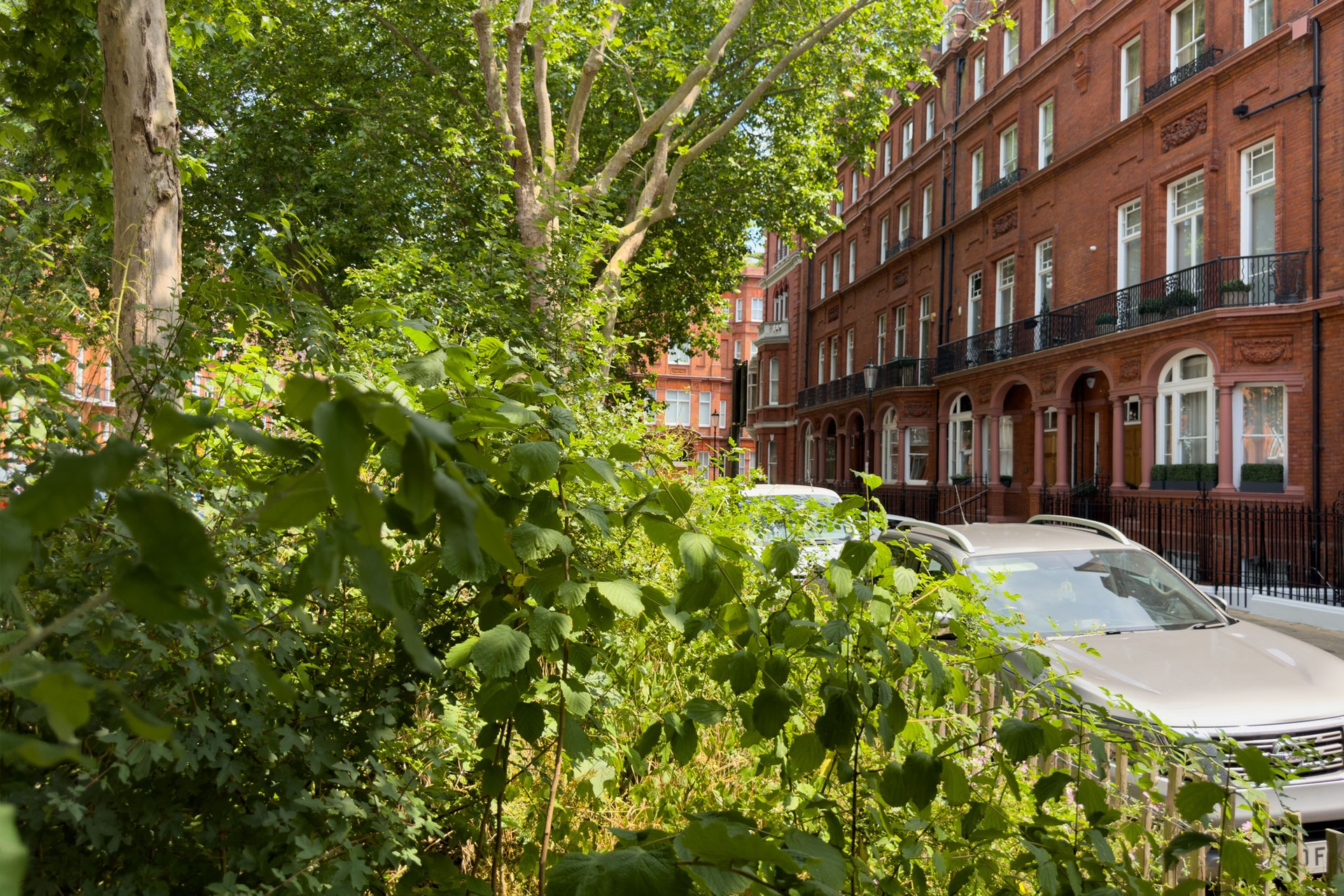 Heritage Forest | SUGi