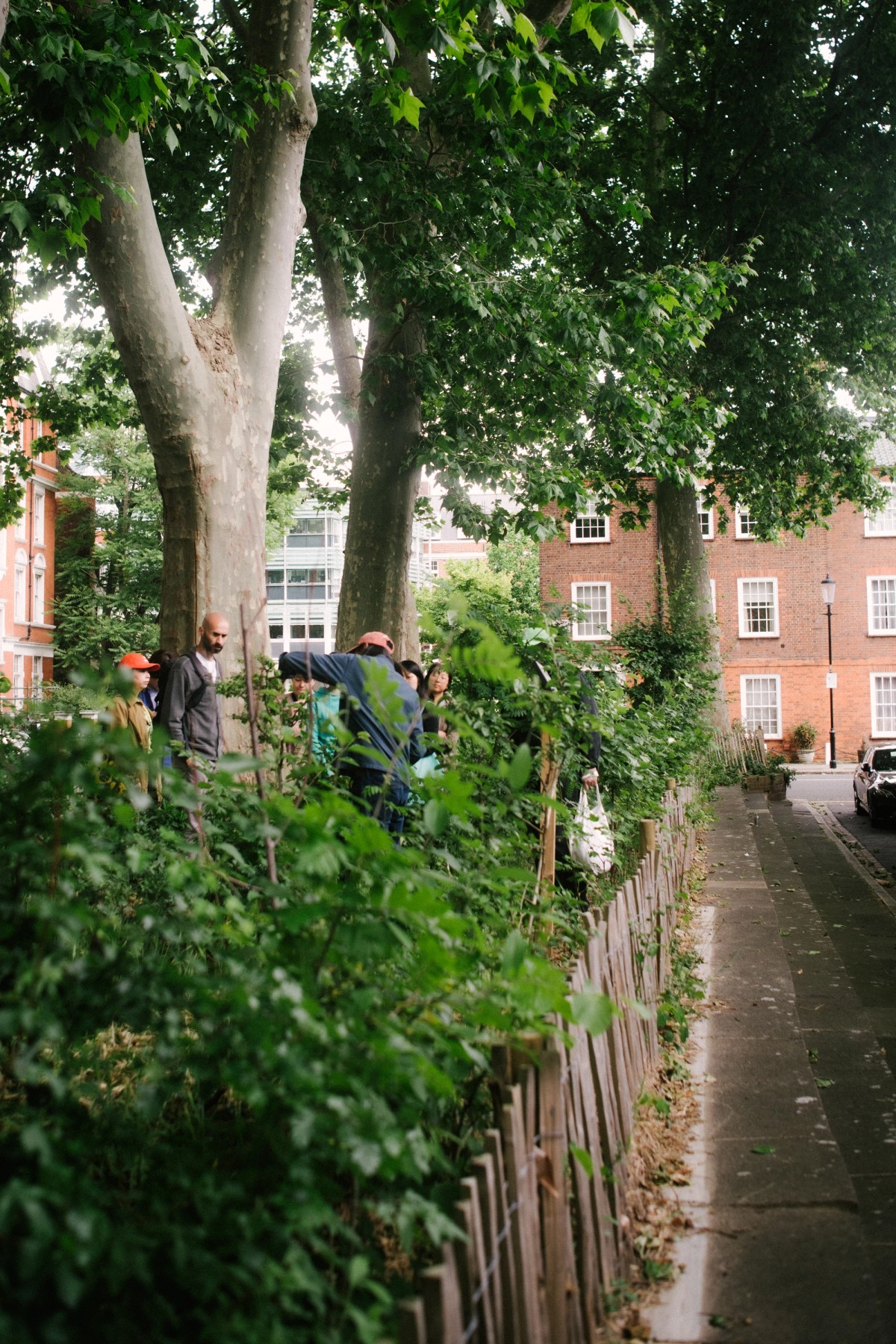 Cadogan Estate | SUGi