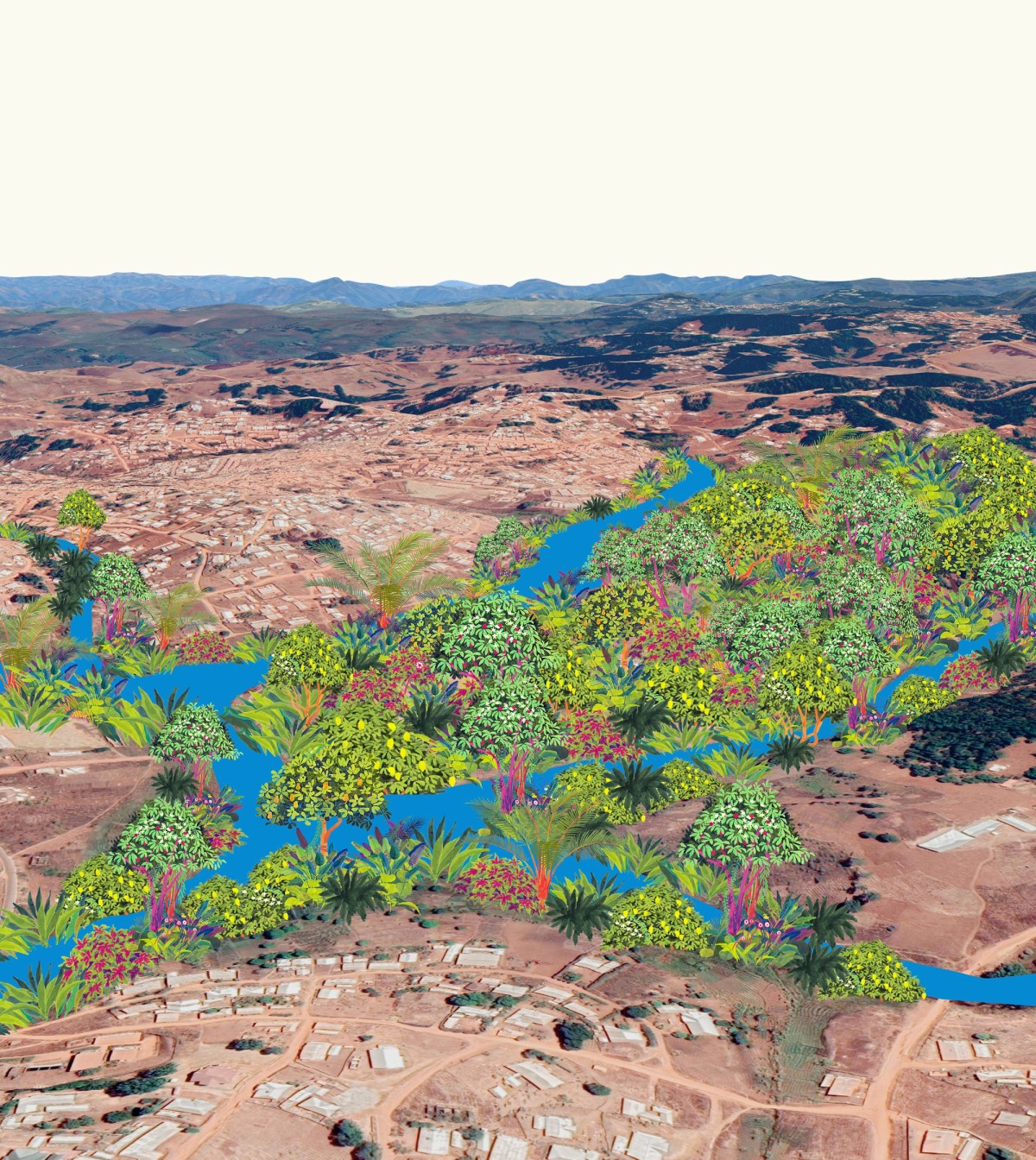 Nkambe River Revival Forest | SUGi