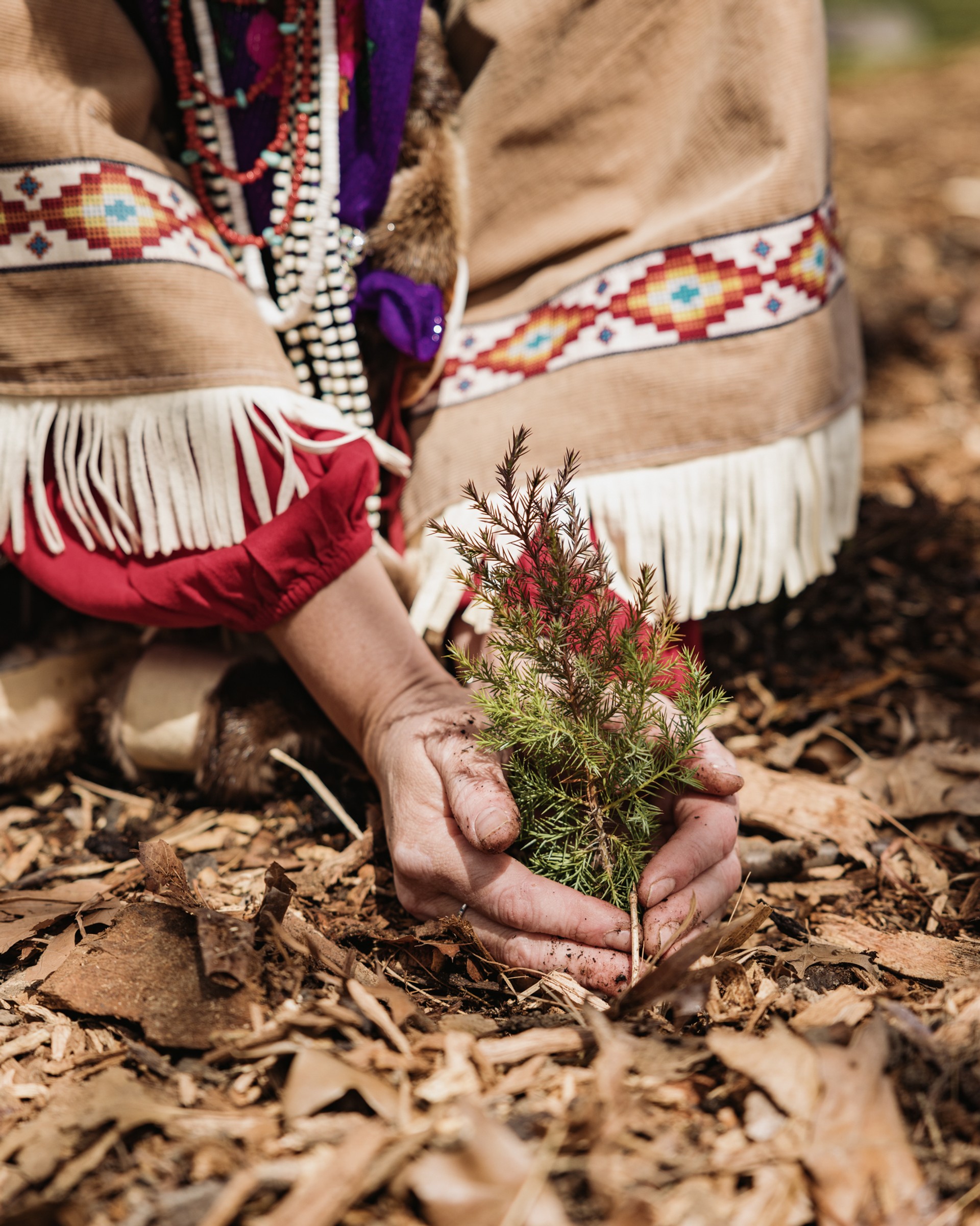 Manhattan Healing Forest | SUGi