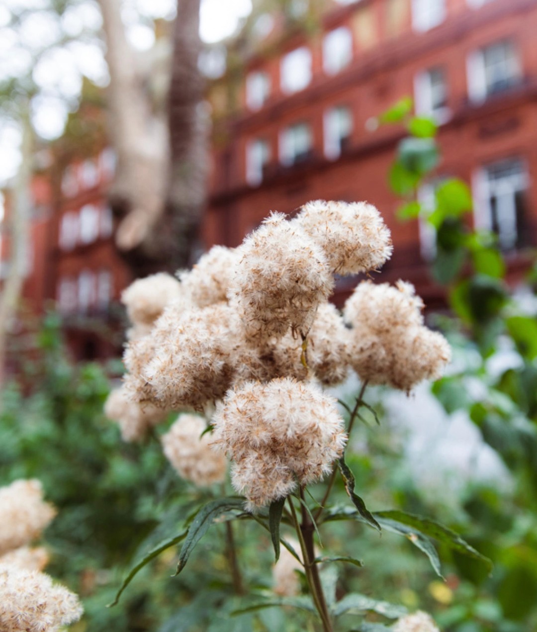 SUGi Pocket Forests London | 2024 Impact Report | SUGi