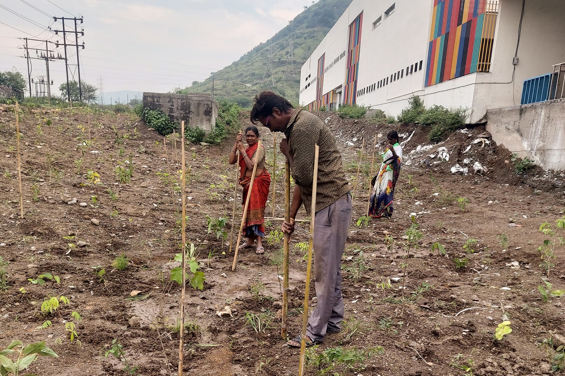 BAMU University Forest | SUGi