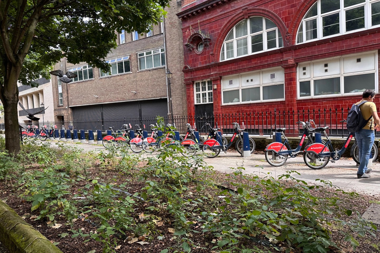 Holy Trinity Brompton - Natura Nostra Forest | SUGi