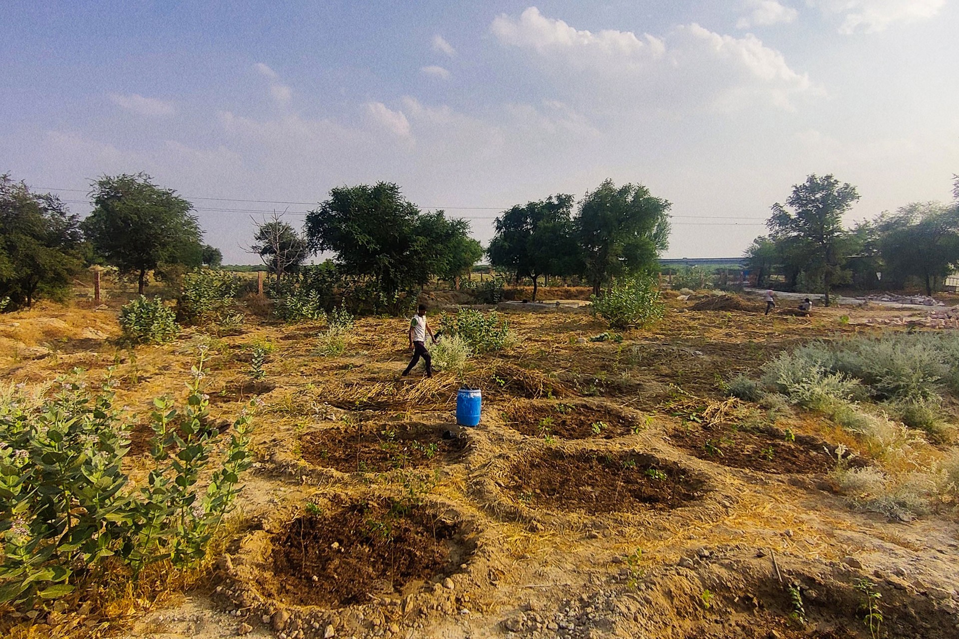 Sukhad Aranya | SUGi