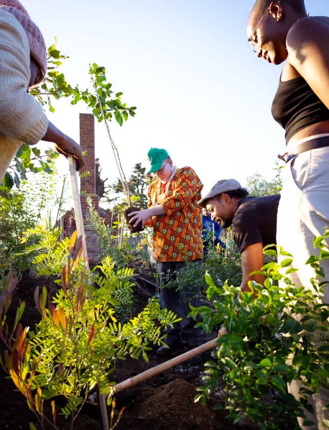 Support Sustainable Biodiverse Forests with SUGi