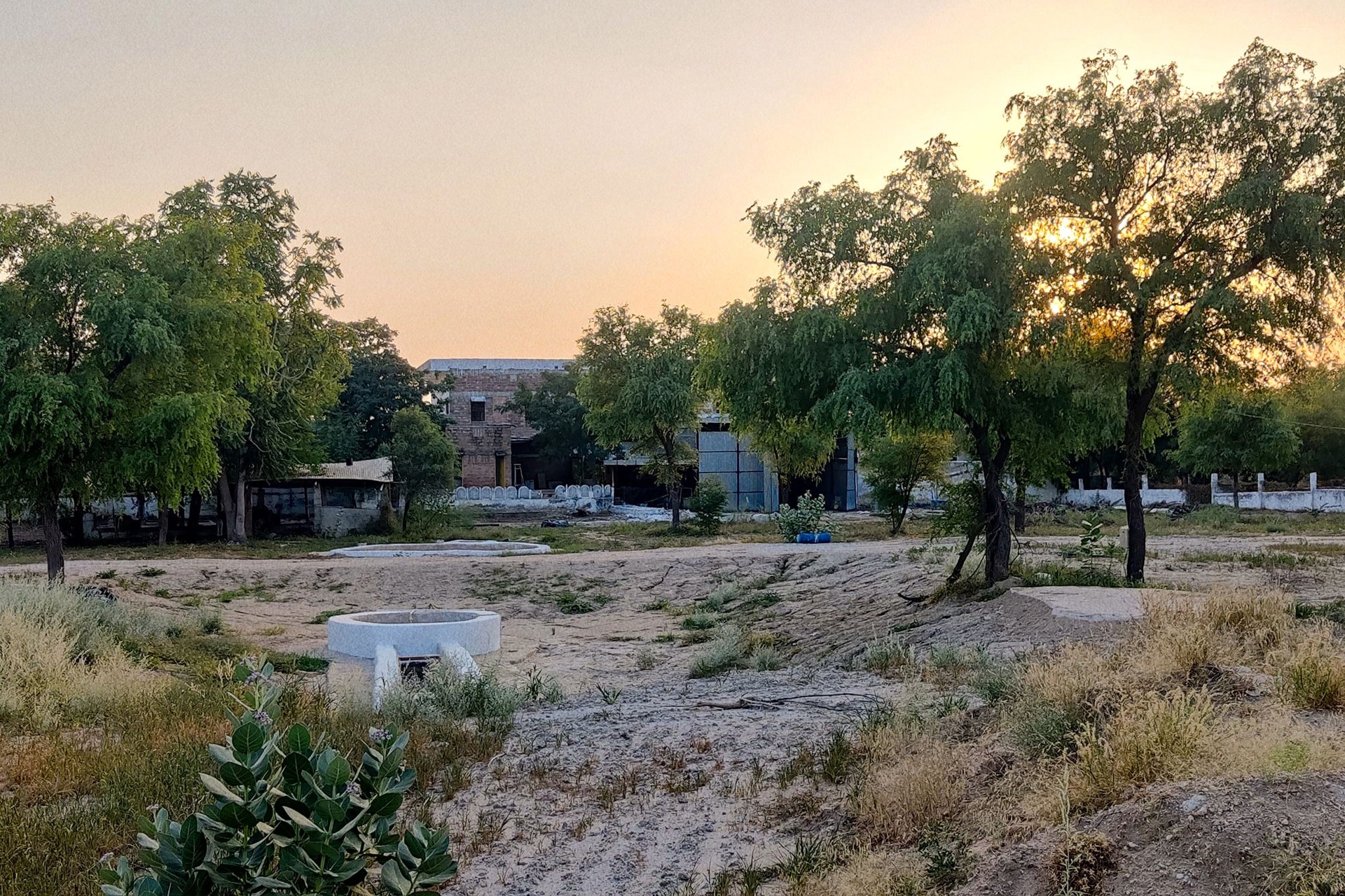 Sukhad Aranya | SUGi