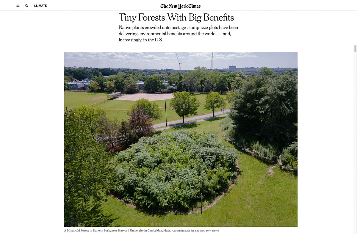 Danehy Park Forest | SUGi