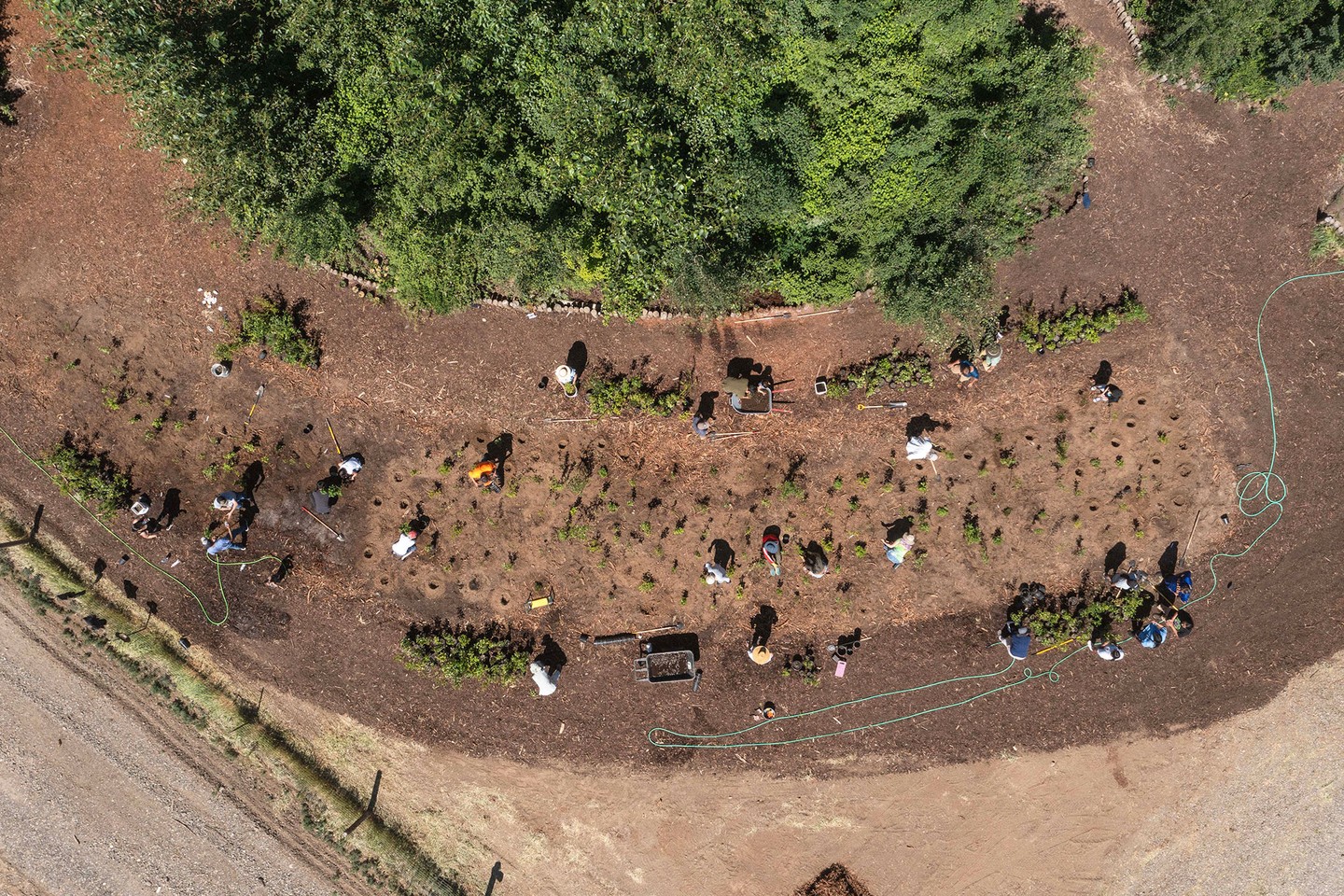 Healing Forest | SUGi