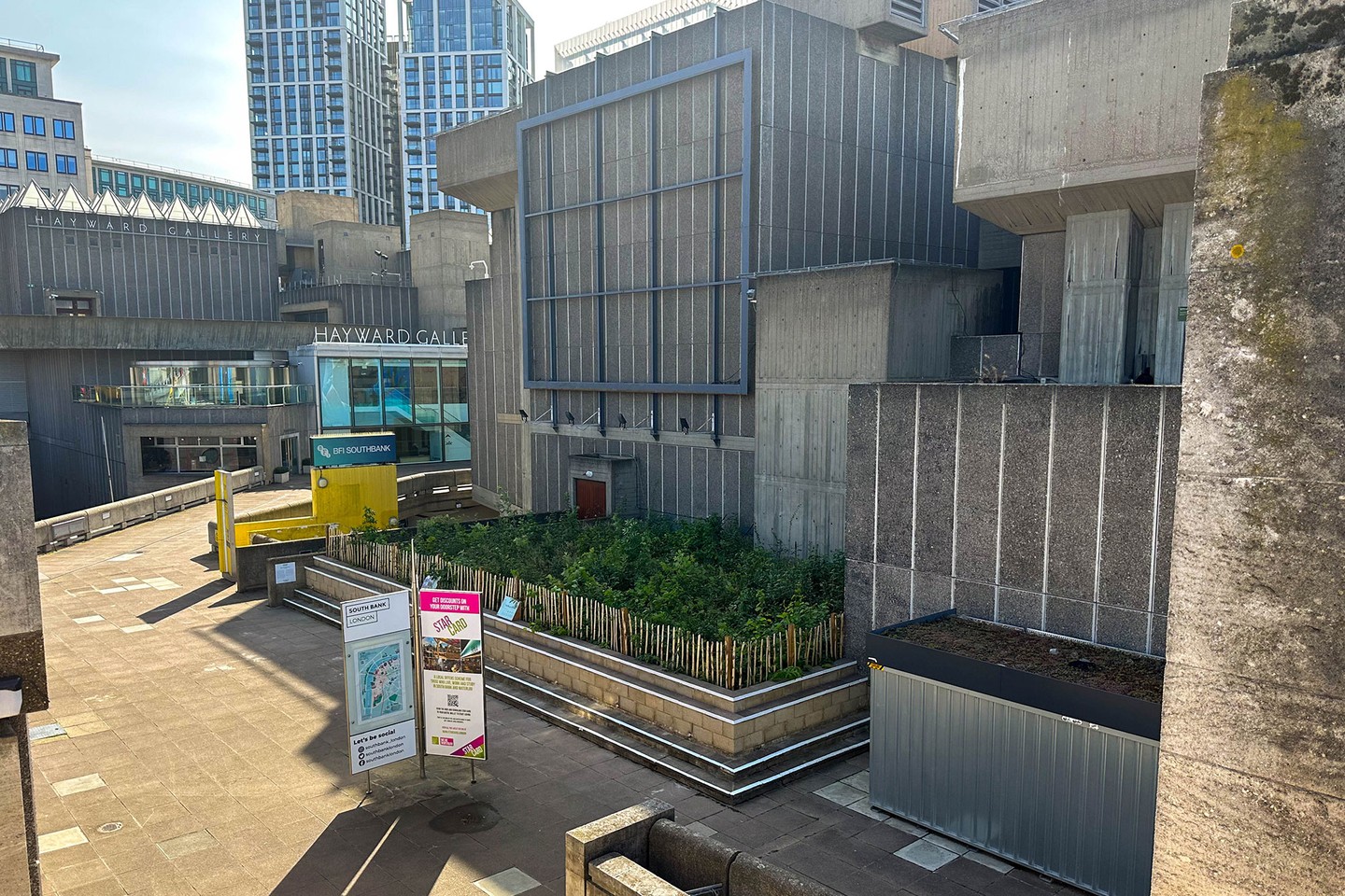 Urban Trees Grow Faster Sugi