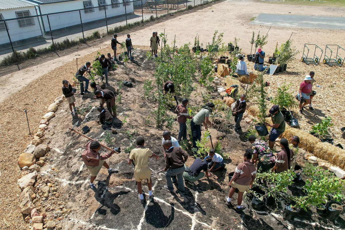 Langalibalele Forest | SUGi