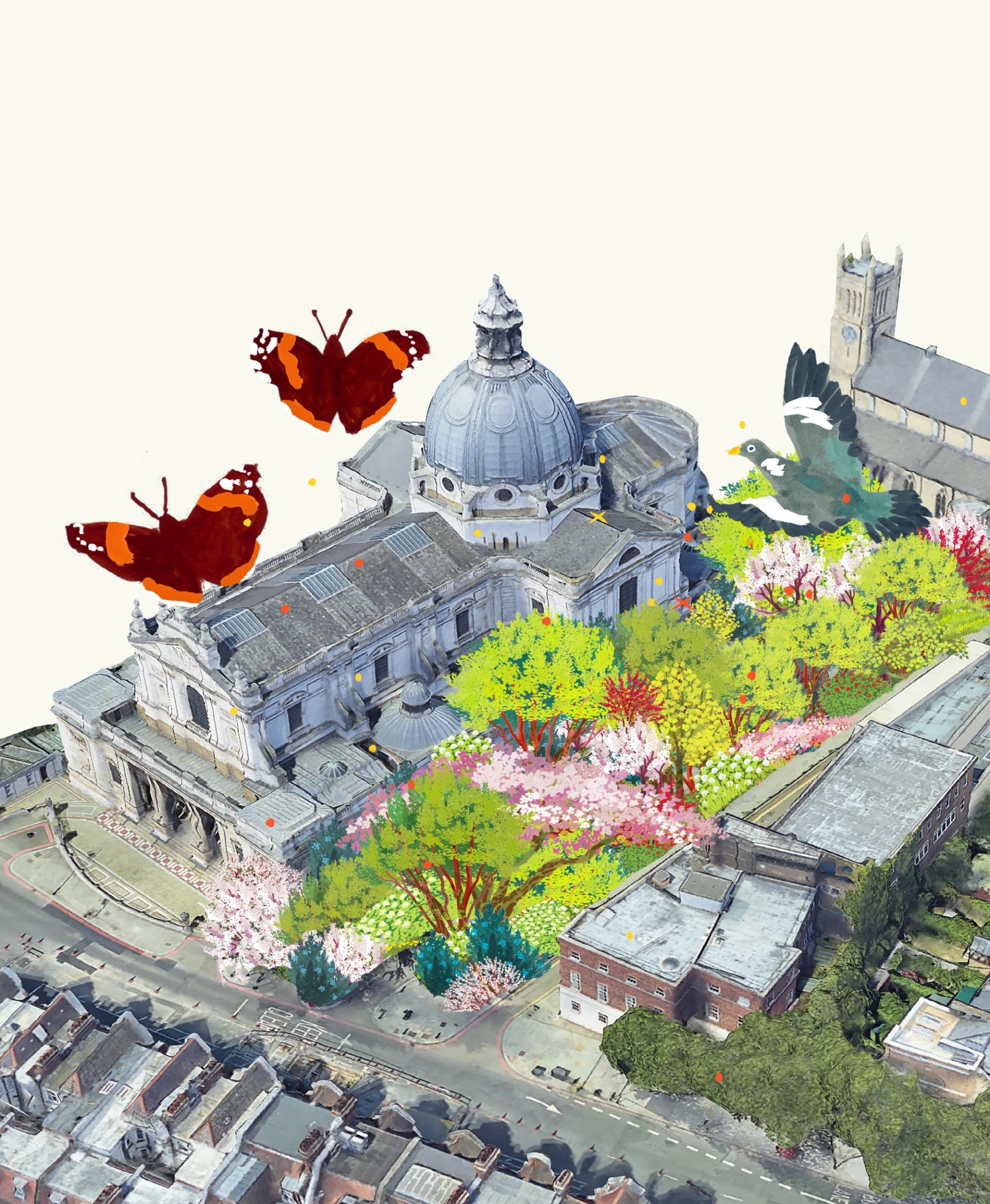 Holy Trinity Brompton - Natura Nostra Forest | SUGi
