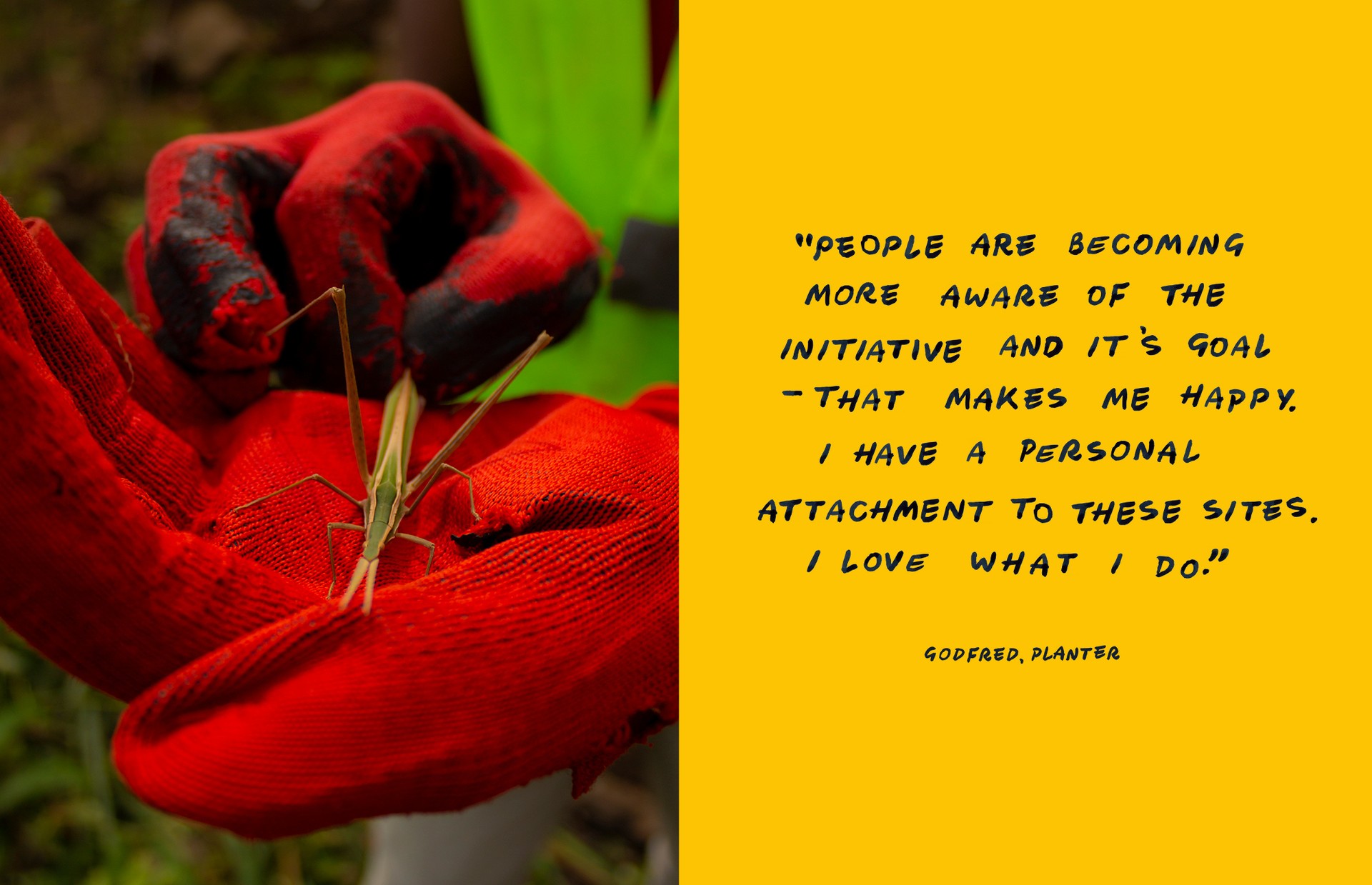 Limbi Blessing Tata | SUGi