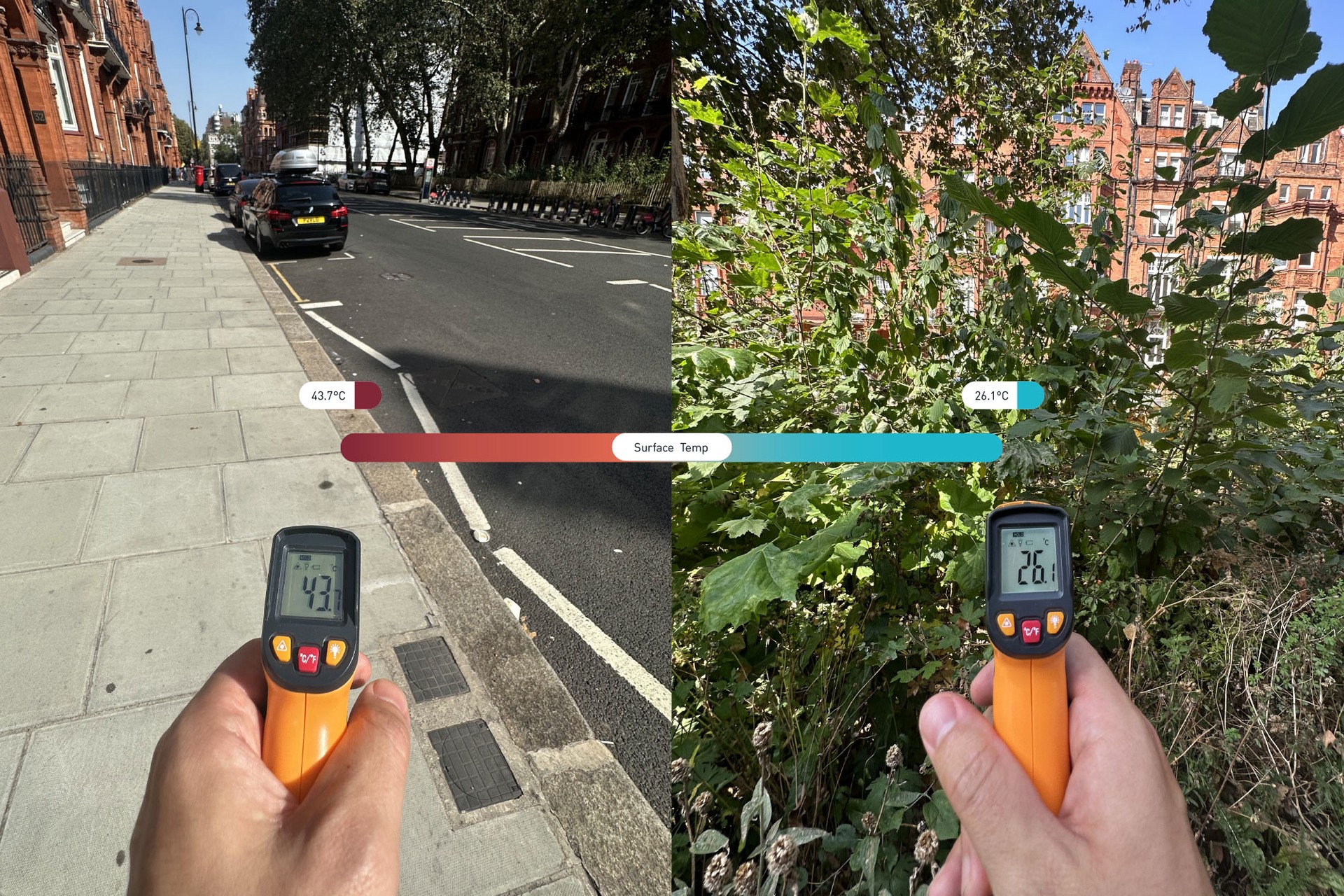 Heritage Forest | SUGi