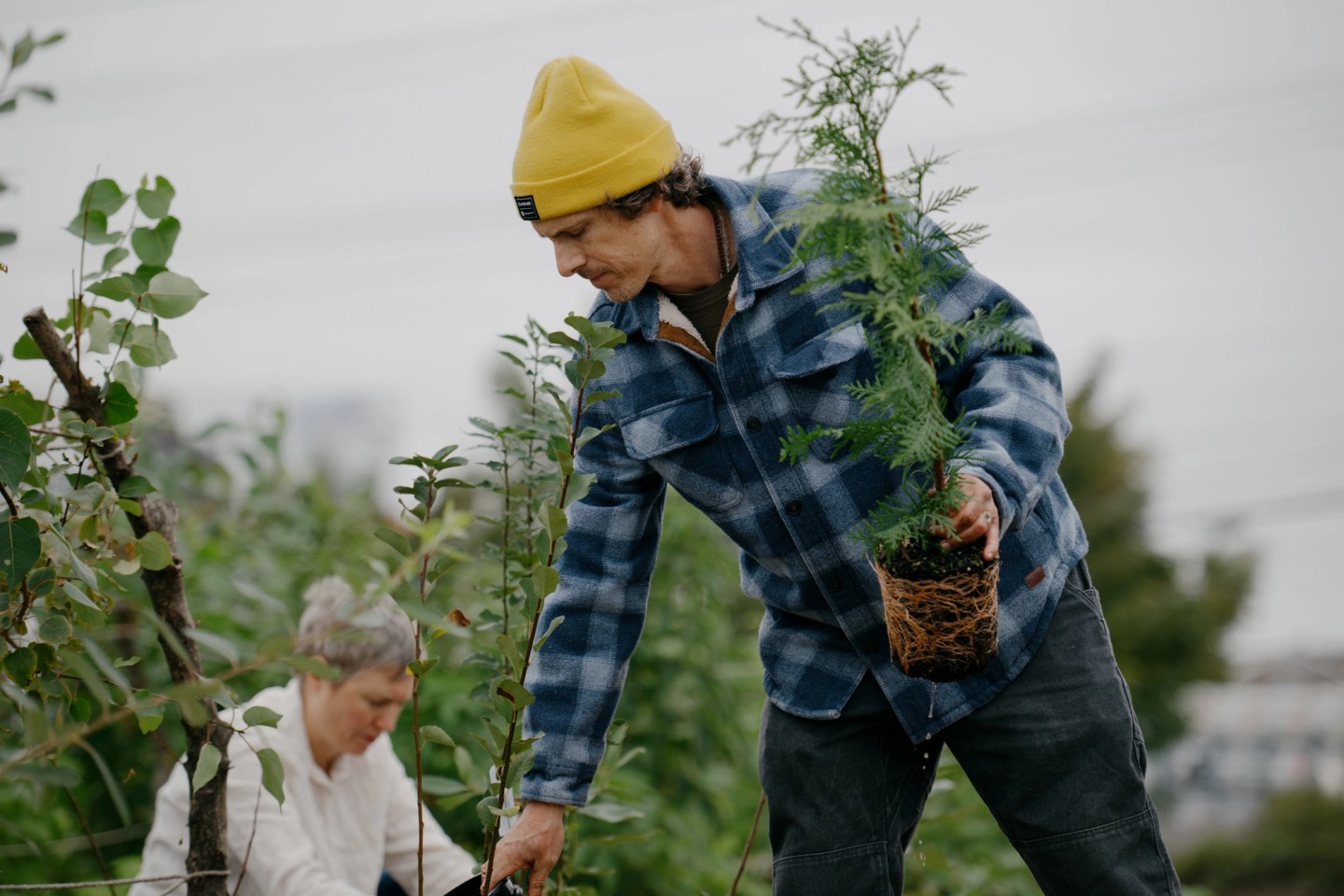 Georgetown Community Forest | SUGi