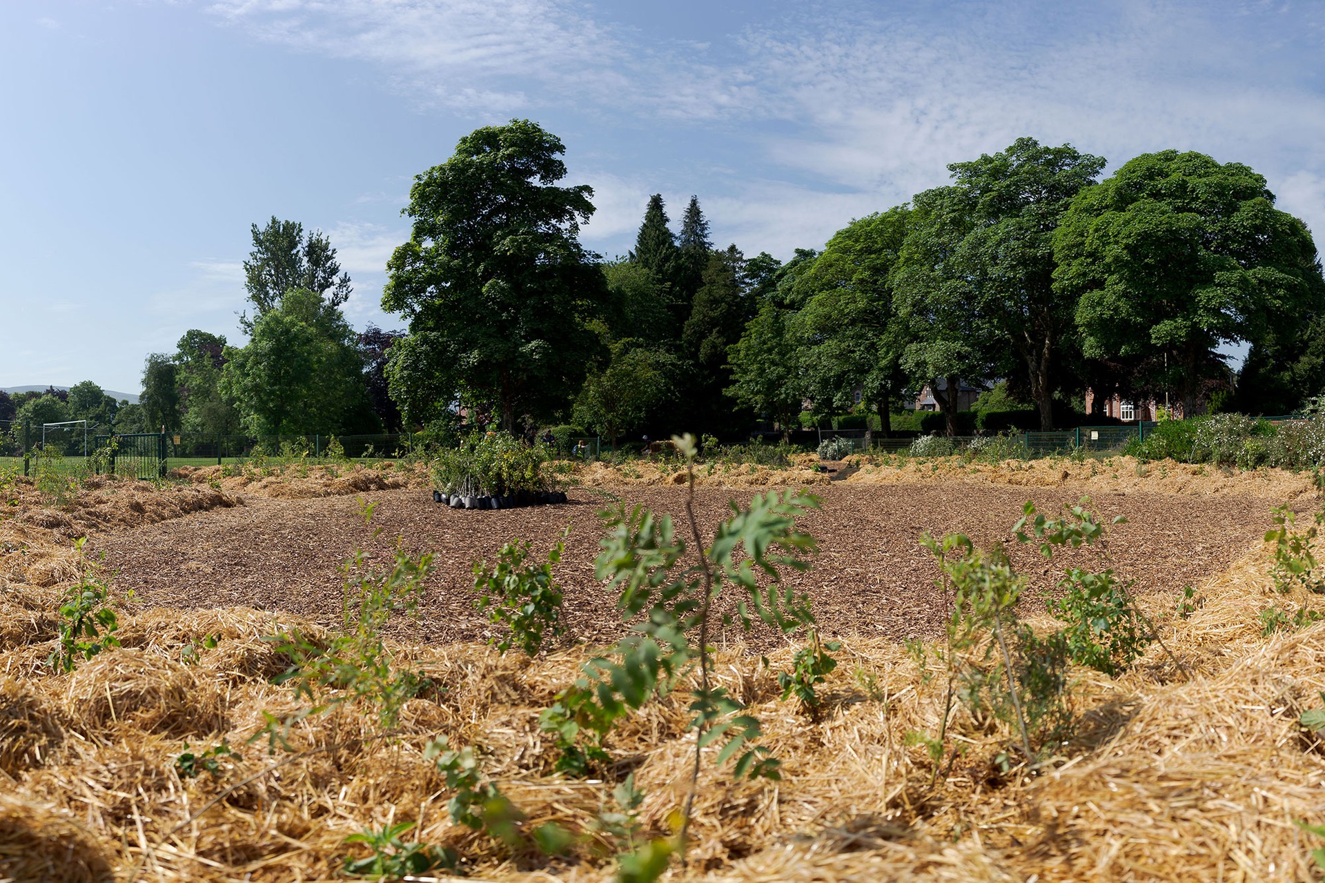 R&Co4Generations | SUGi