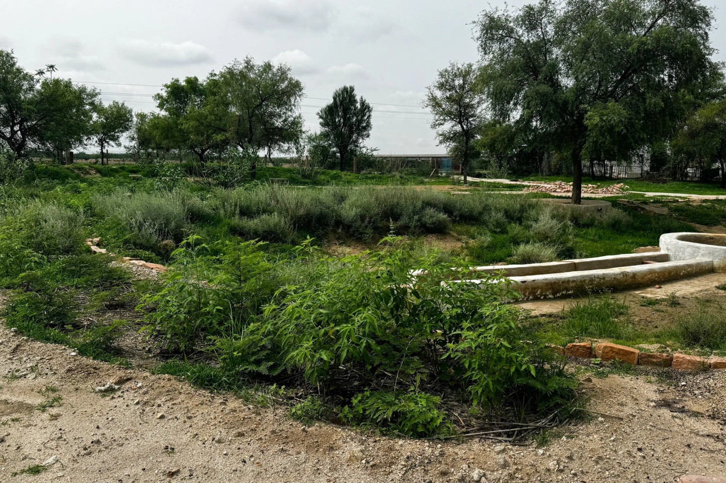 Sukhad Aranya | SUGi