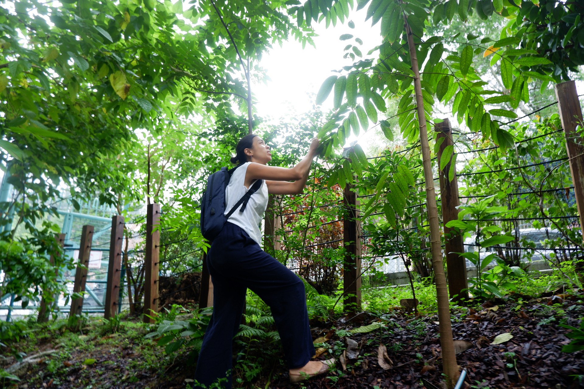 Sha Tin Junior School | SUGi